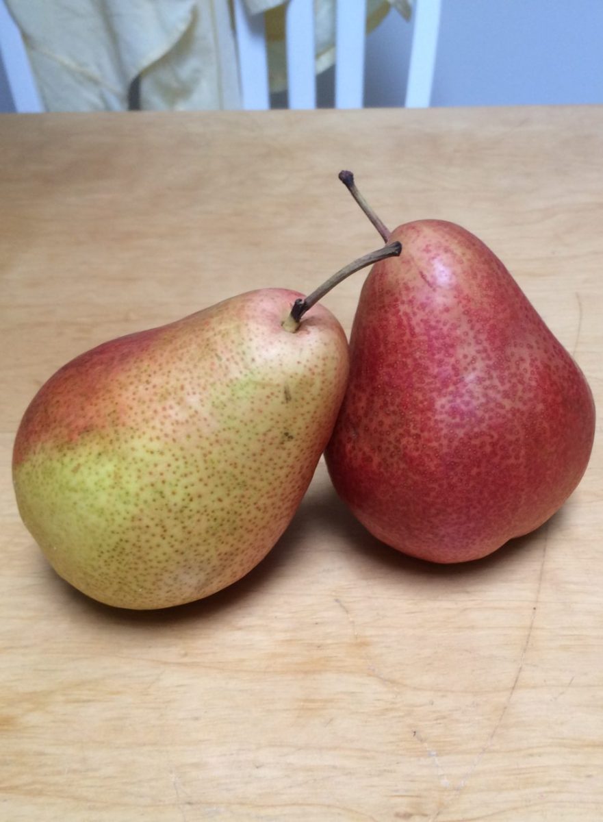 Emergency Preparedness Plan | Ravens and Pears